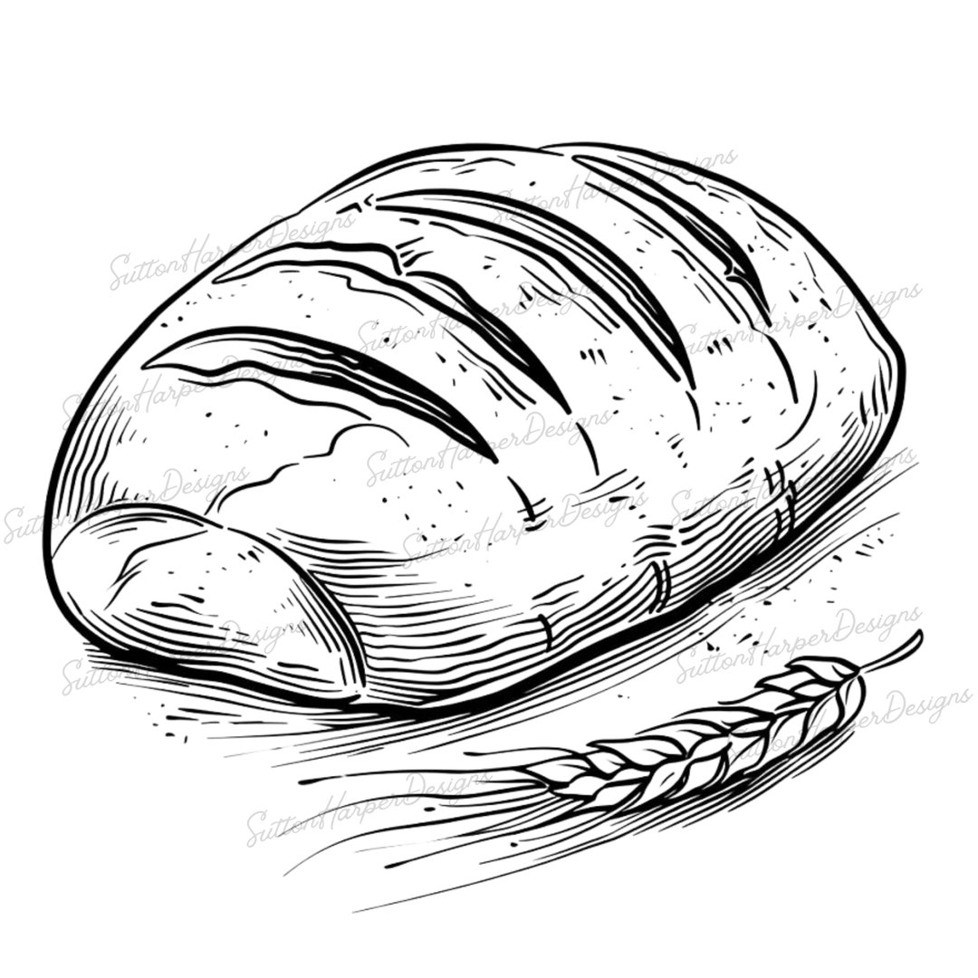 Sourdough Bread Png, Sourdough Loaf of Bread Line Art Illustration Png ...