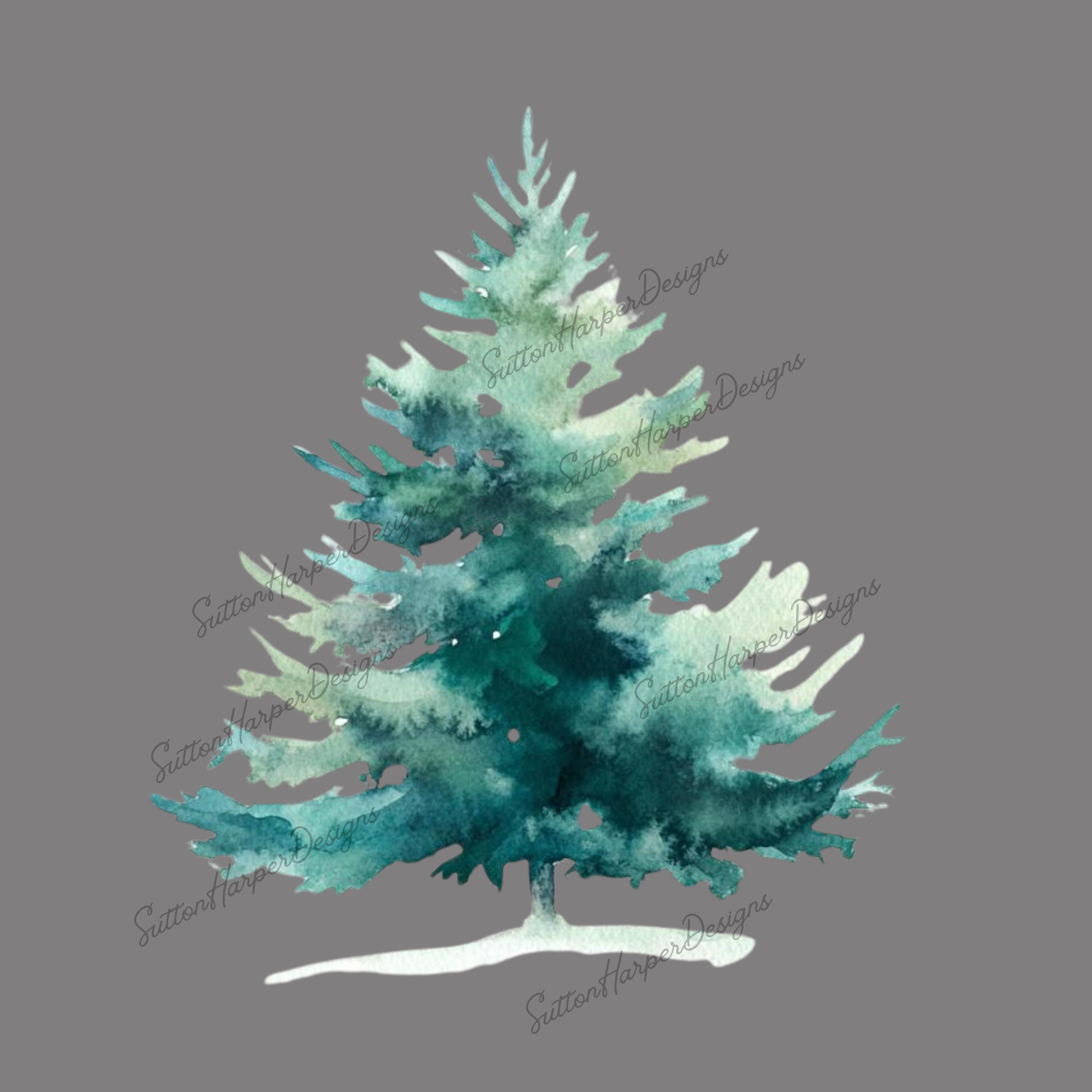 Watercolor Pine Tree Illustration PNG, Watercolor Christmas Tree Png ...