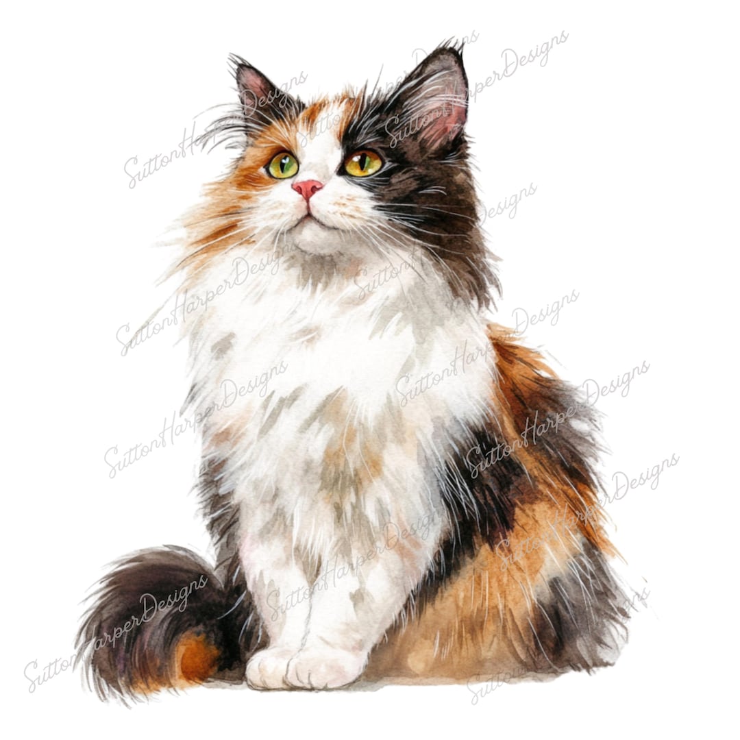 Calico Cat PNG, Cat Png, Calico Cat Watercolor Illustration Design PNG ...