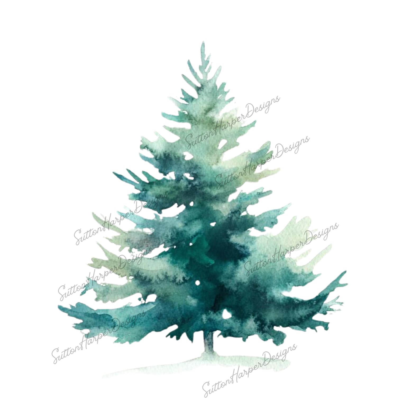 Watercolor Pine Tree Illustration PNG, Watercolor Christmas Tree Png ...