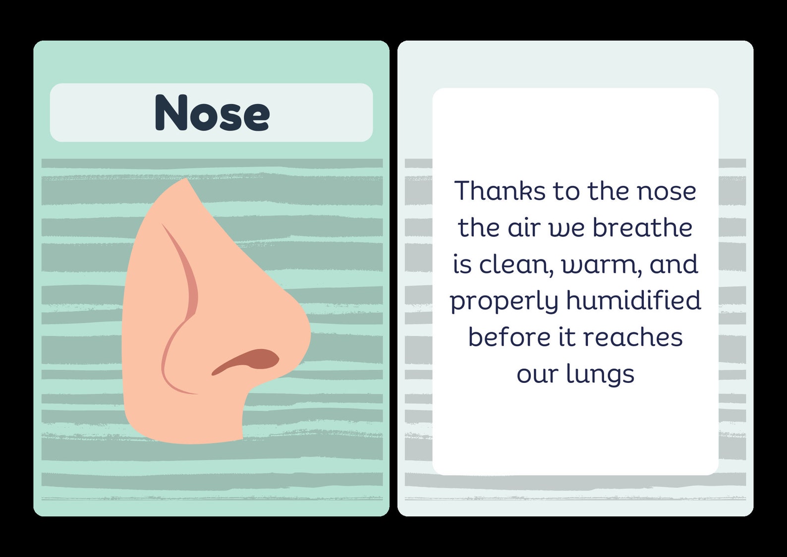 Respiratory System Flashcards for Students | Printable Study Fun and ...