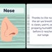 Respiratory System Flashcards for Students | Printable Study Fun and ...