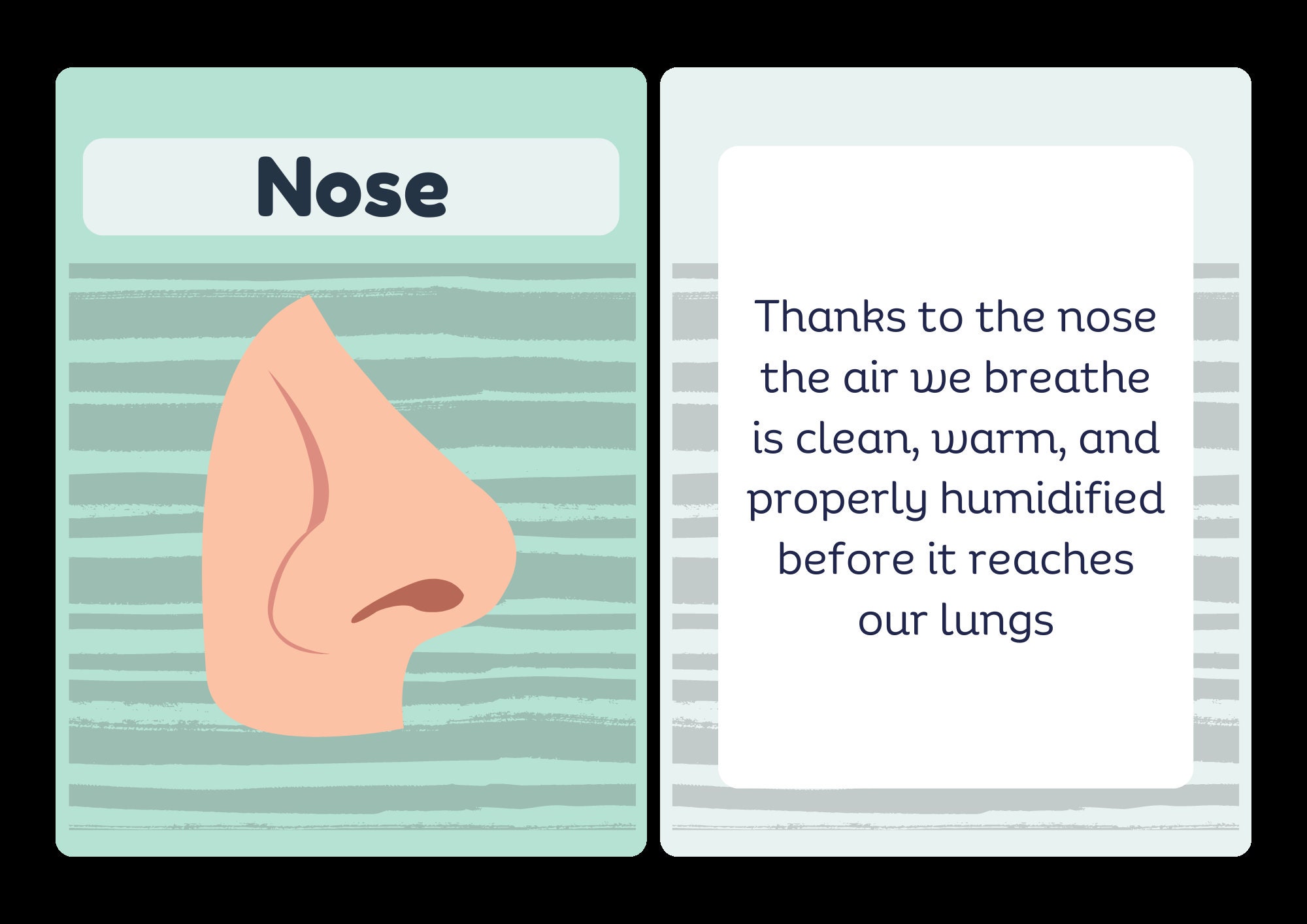 Respiratory System Flashcards for Students | Printable Fun and ...