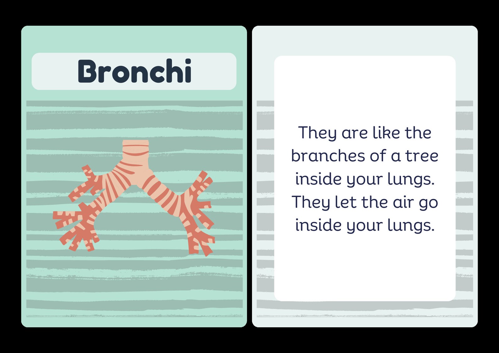 Respiratory System Flashcards for Students | Printable Study Fun and ...
