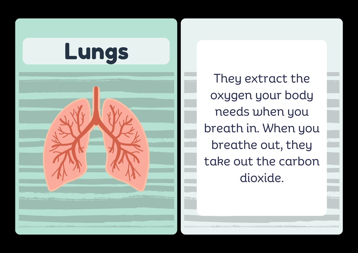 Respiratory System Flashcards for Students Printable Study Fun and ...