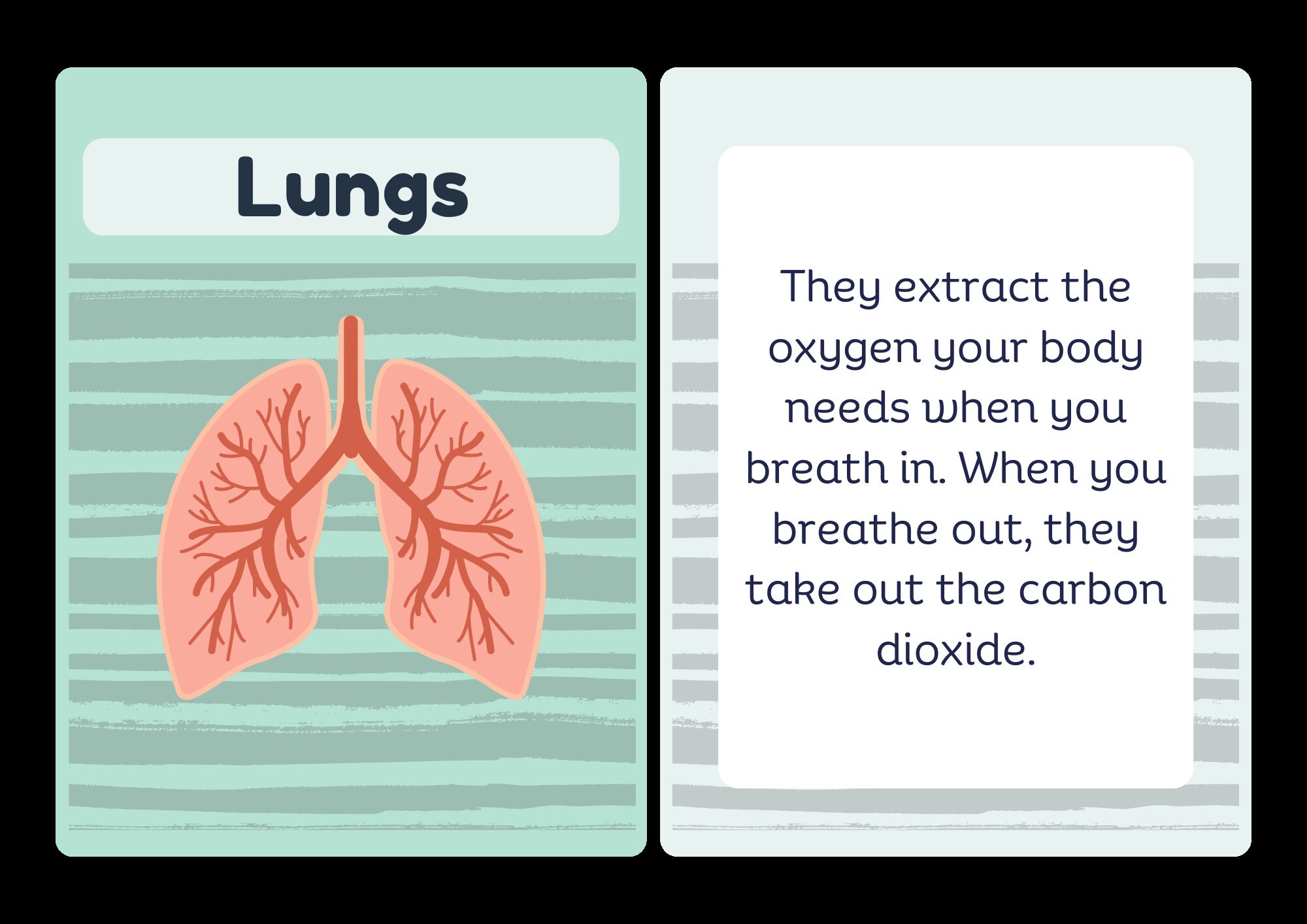 Respiratory System Flashcards for Students | Printable Study Fun and ...