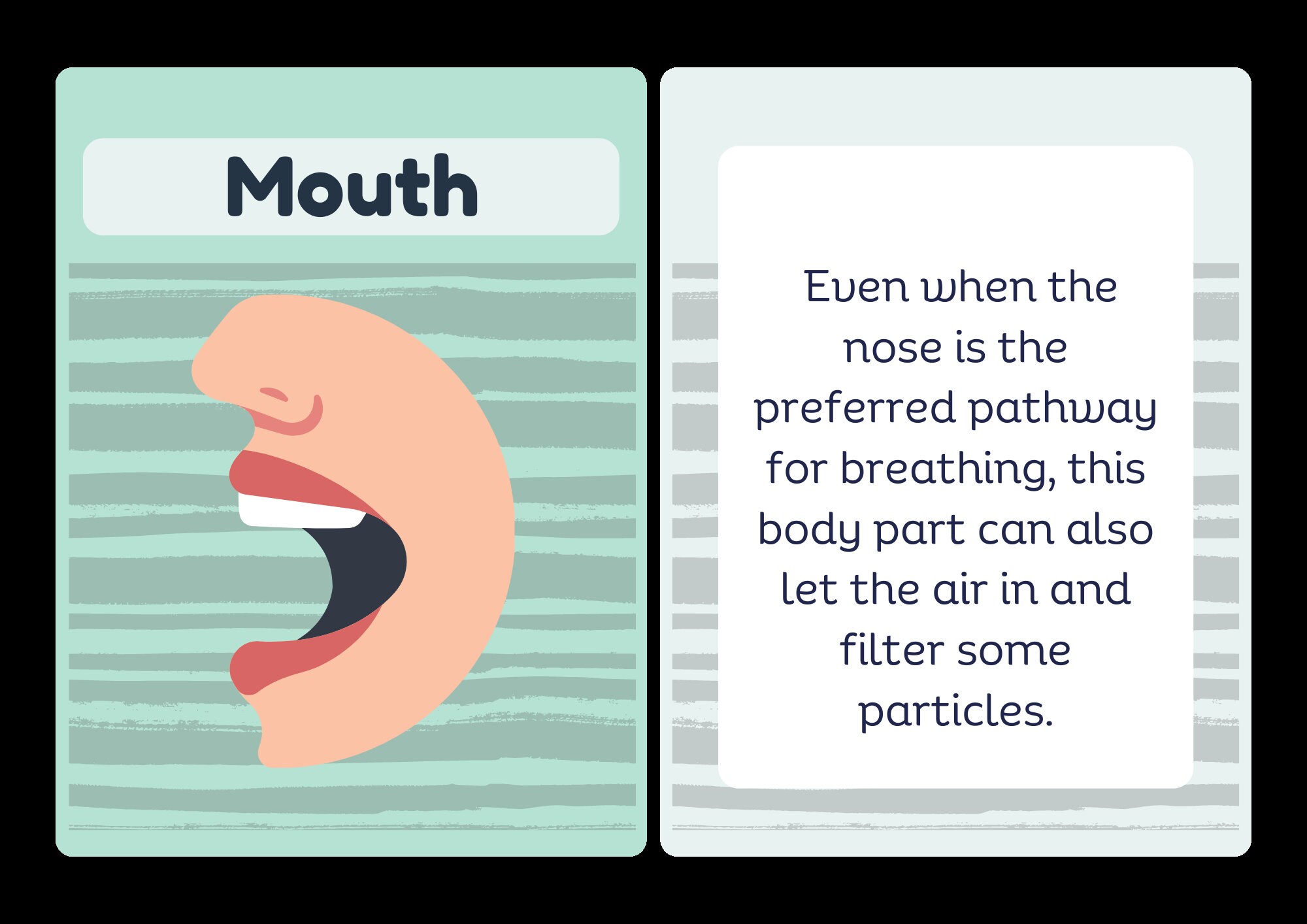Respiratory System Flashcards for Students | Printable Fun and ...