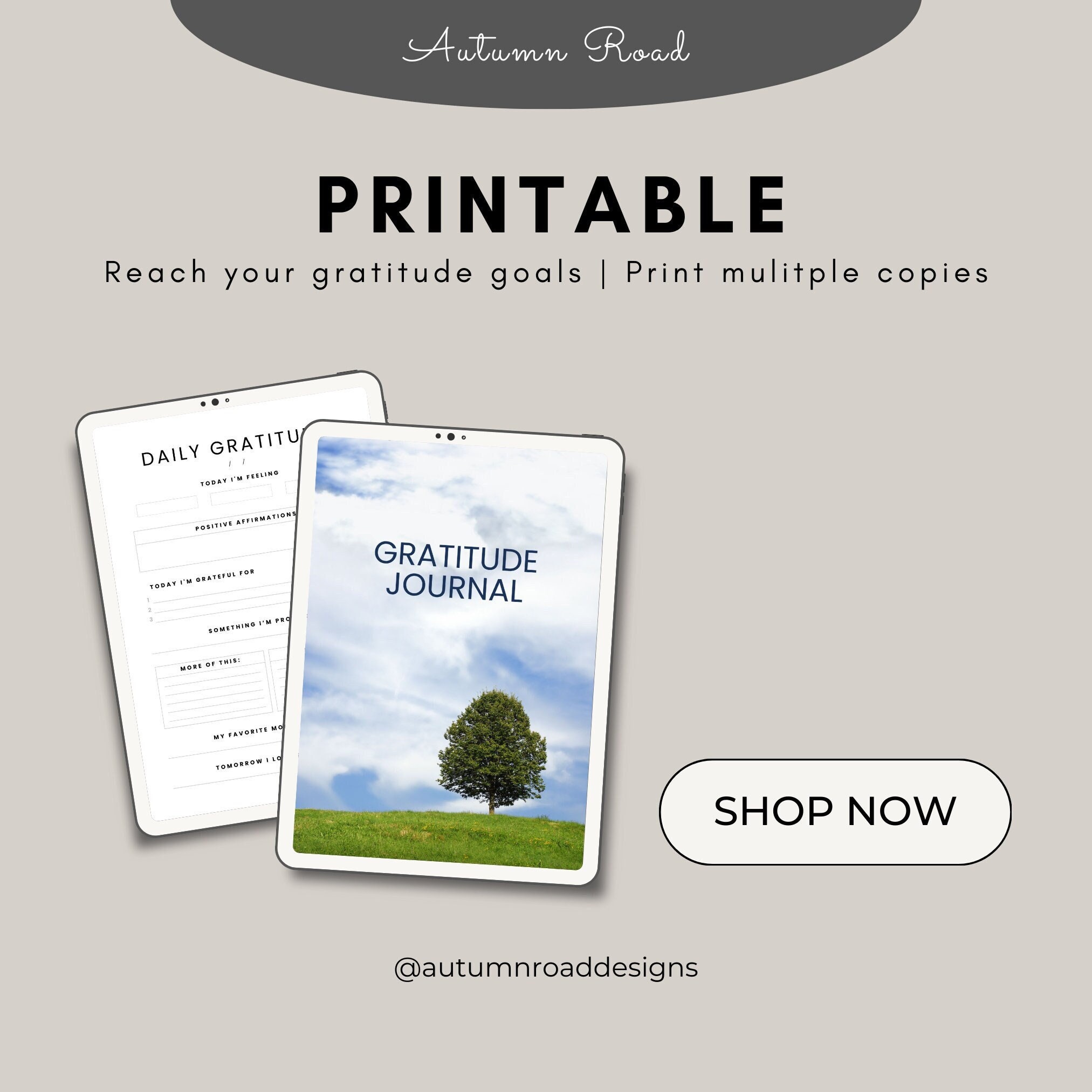 Gratitude Journal Printable | Daily & Monthly Reflections | Reflect on ...