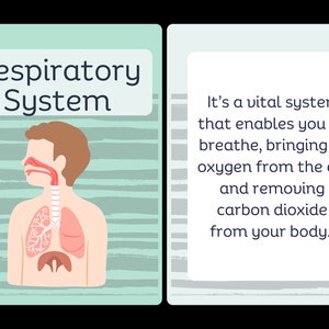 Respiratory System Flashcards for Students | Printable Fun and ...