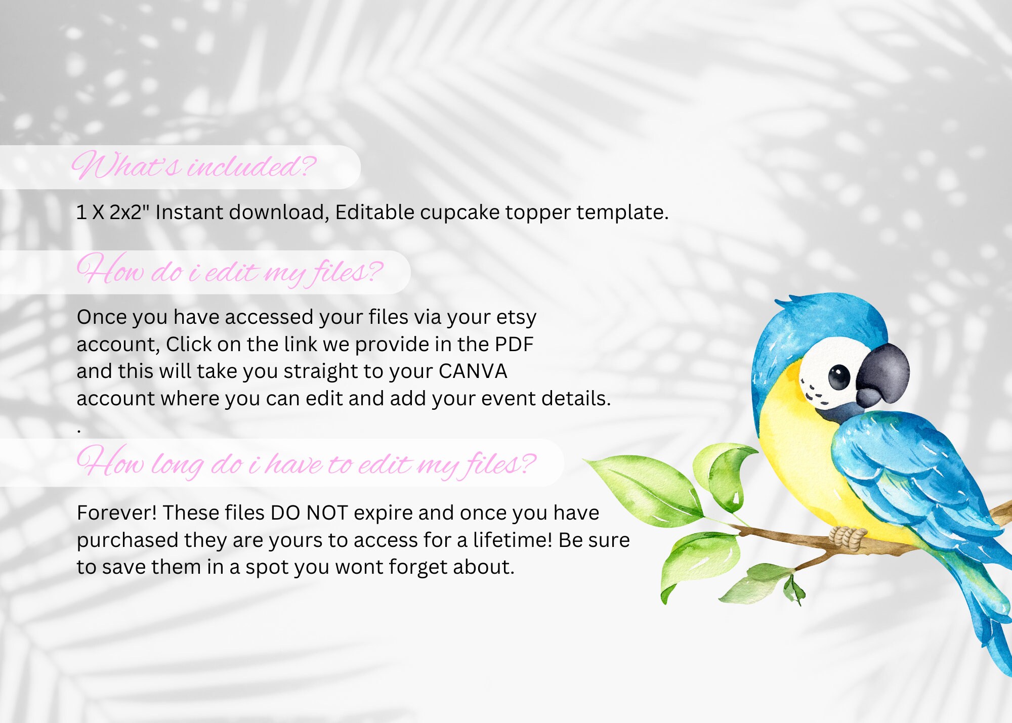Bird Birthday Cupcake Toppers, Cockatoo and Parrot Cupcake Topper, Boys ...