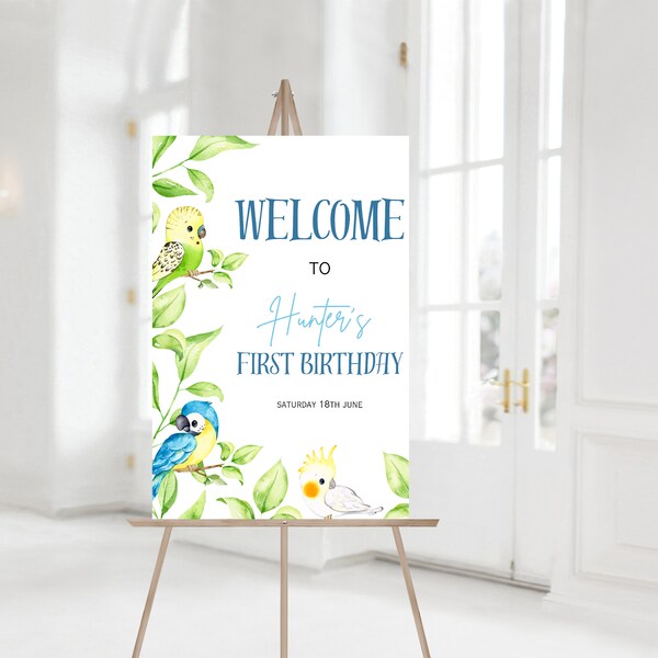 Bird Theme Party - Etsy