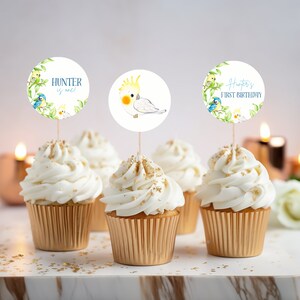 Bird Birthday Cupcake Toppers, Cockatoo and Parrot Cupcake Topper, Boys ...