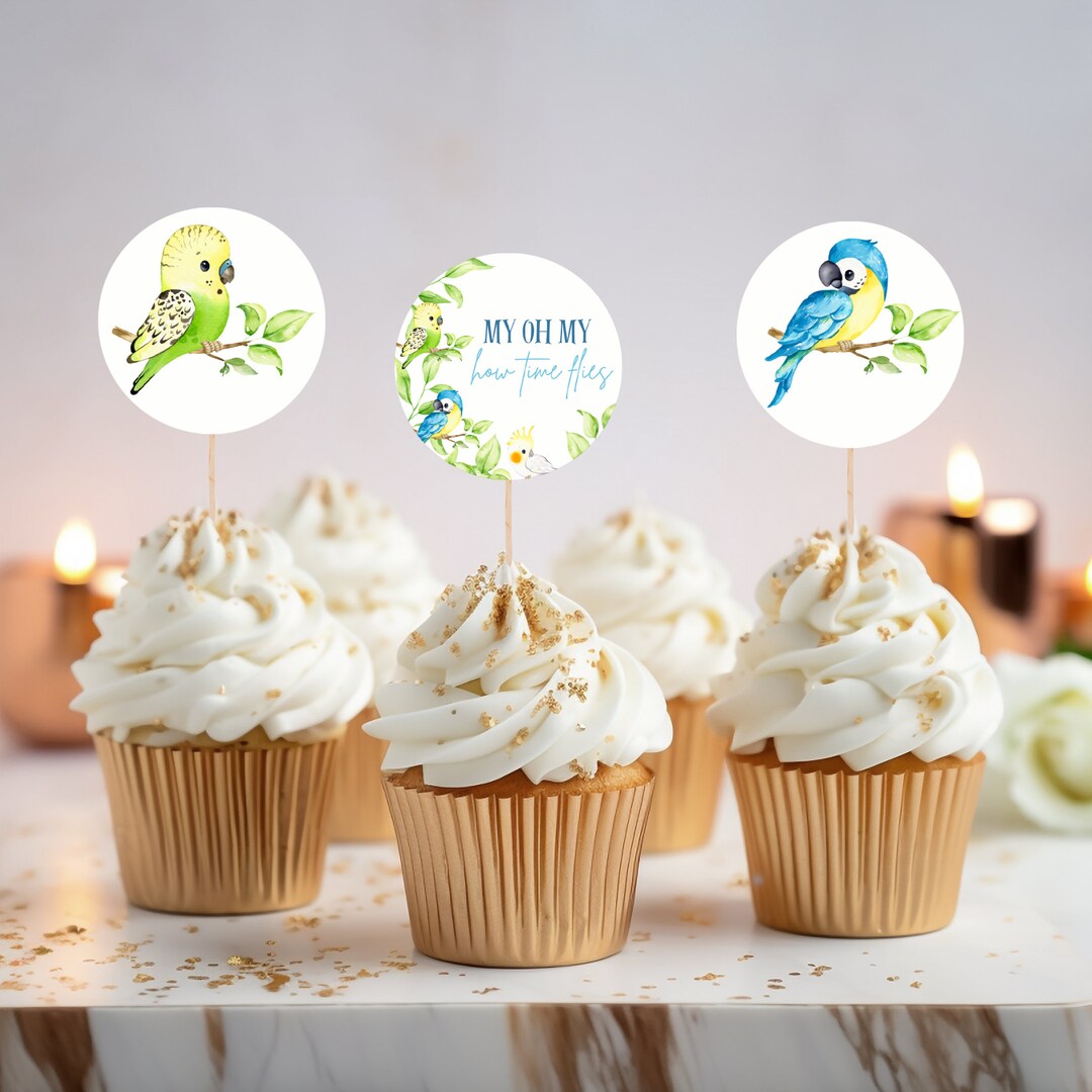 Bird Birthday Cupcake Toppers, Cockatoo and Parrot Cupcake Topper, Boys ...