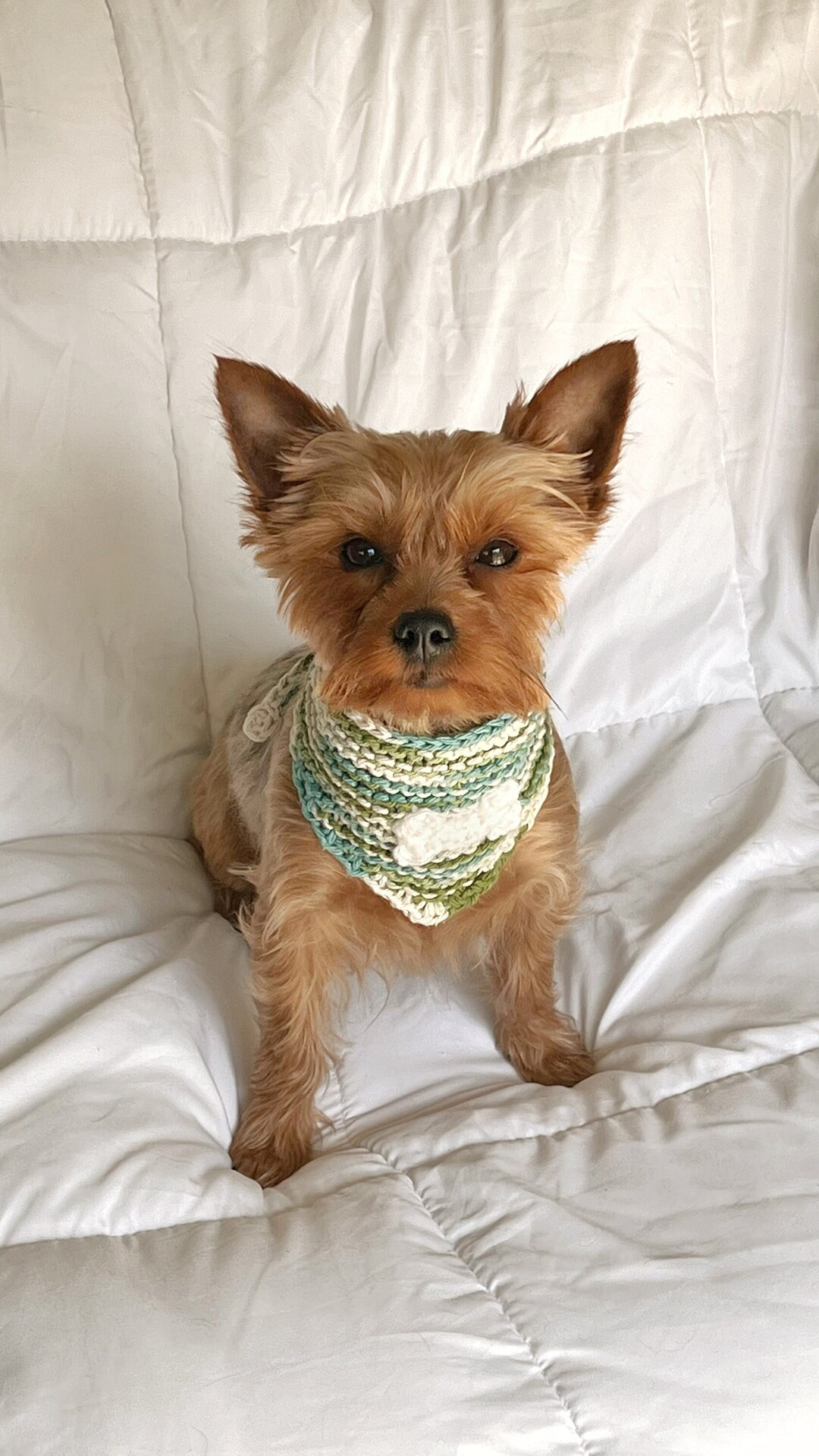 Hand Knitted Bone Pet Bandana Custom Crochet Dog Collar - Etsy