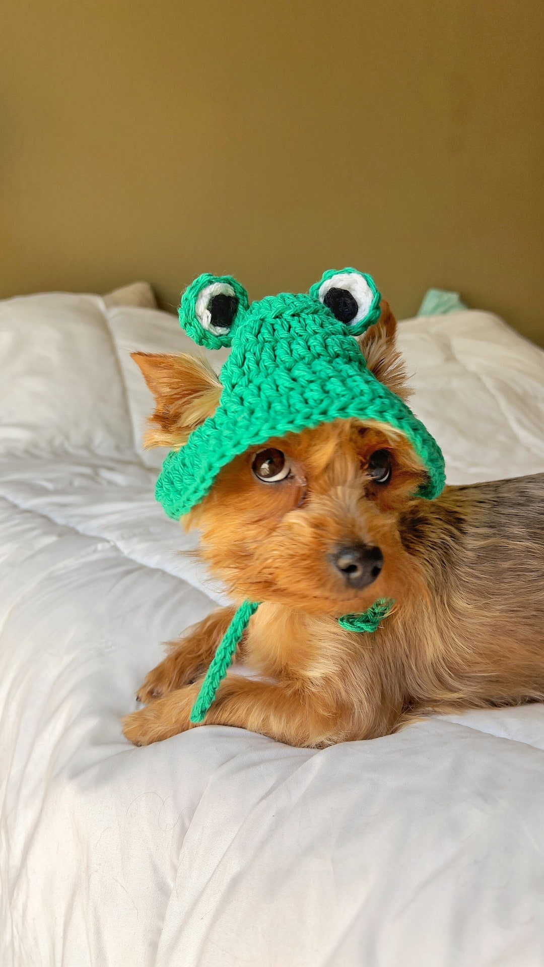 Frog Pet Bucket Hat Green Frog Dog Hat Summer Bucket Hat for Cat Hat ...