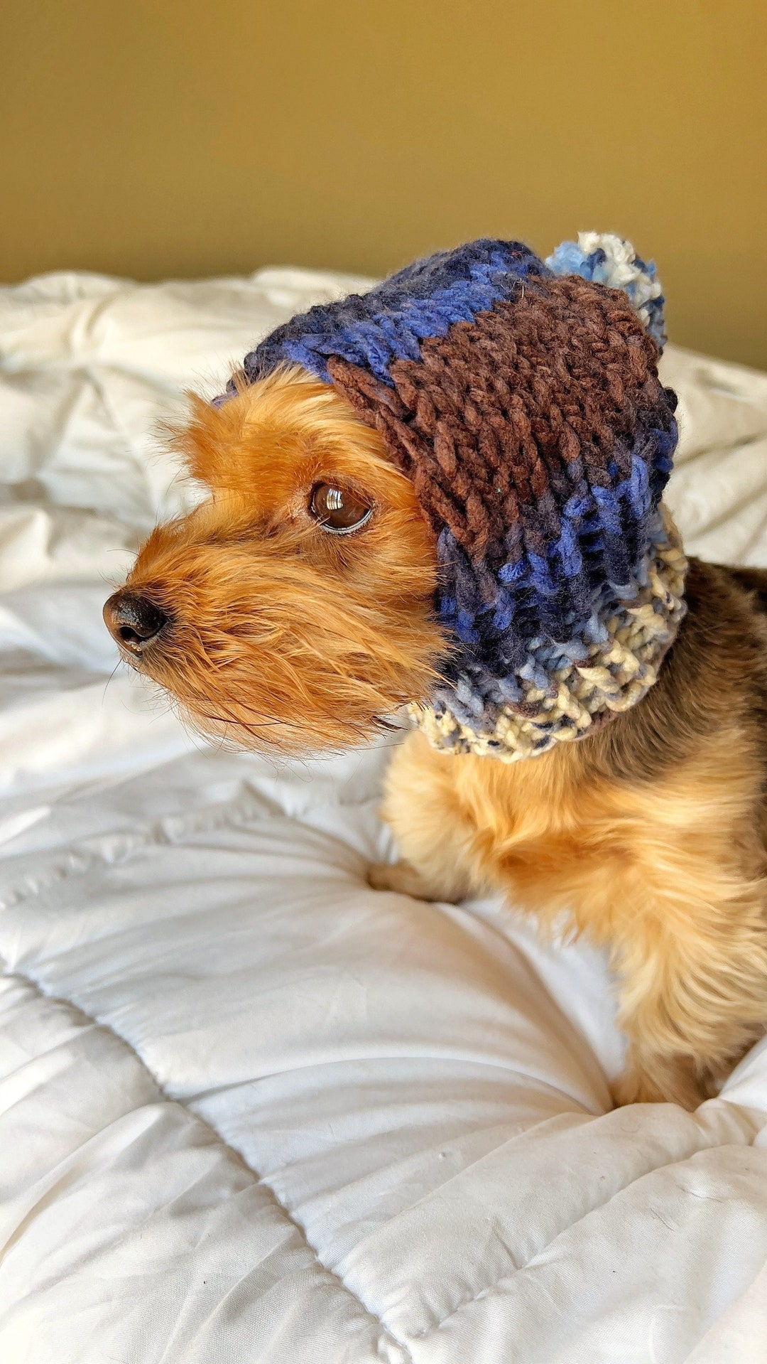 Lakeside Knit Dog Snood Blue Pet Hat Warm Cute Dog Snood for Small Dog ...