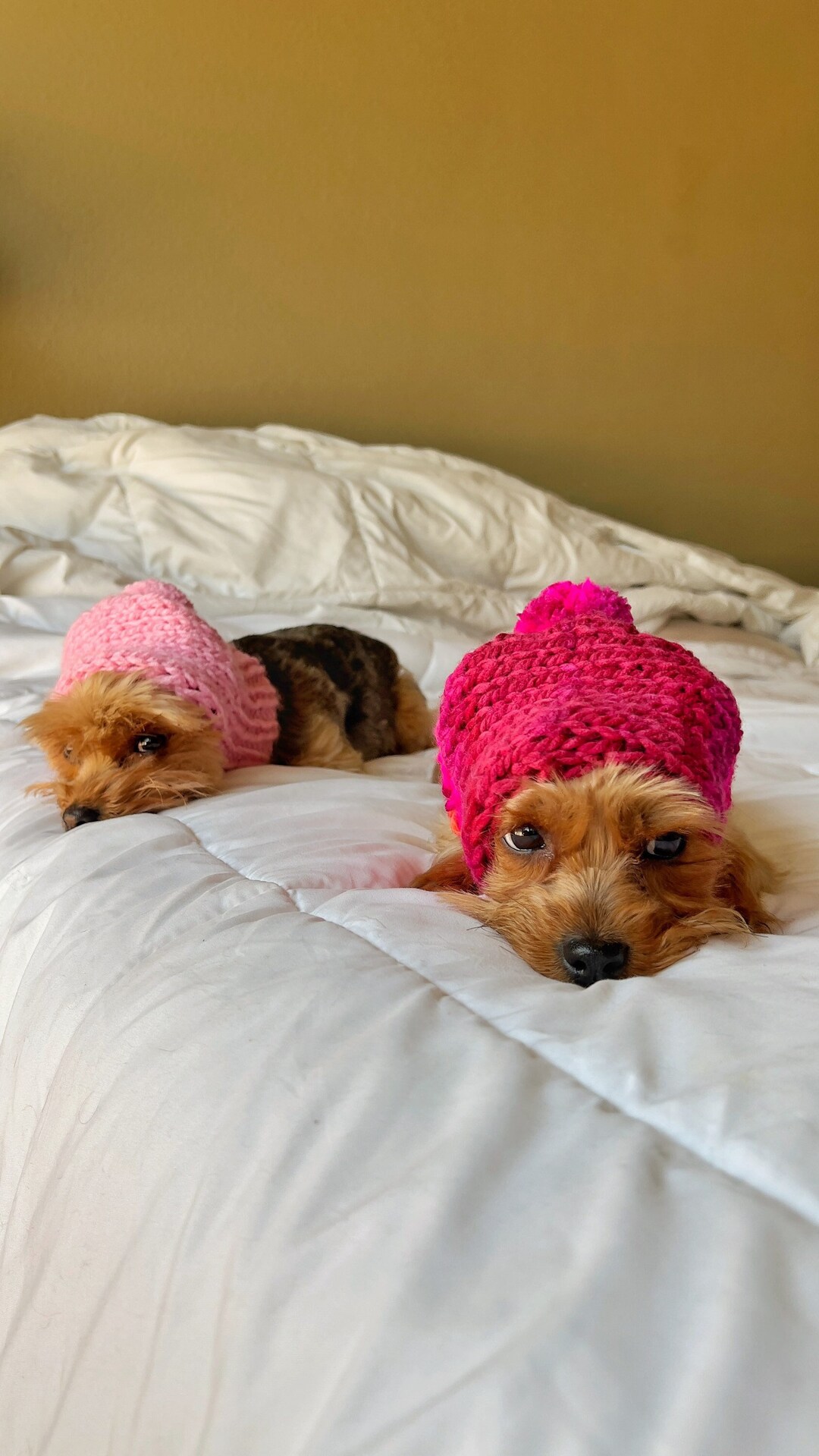 Pink Pop Dog Snood Bright Pink Pet Snood Warm Pink Dog Hat Neon Pink ...