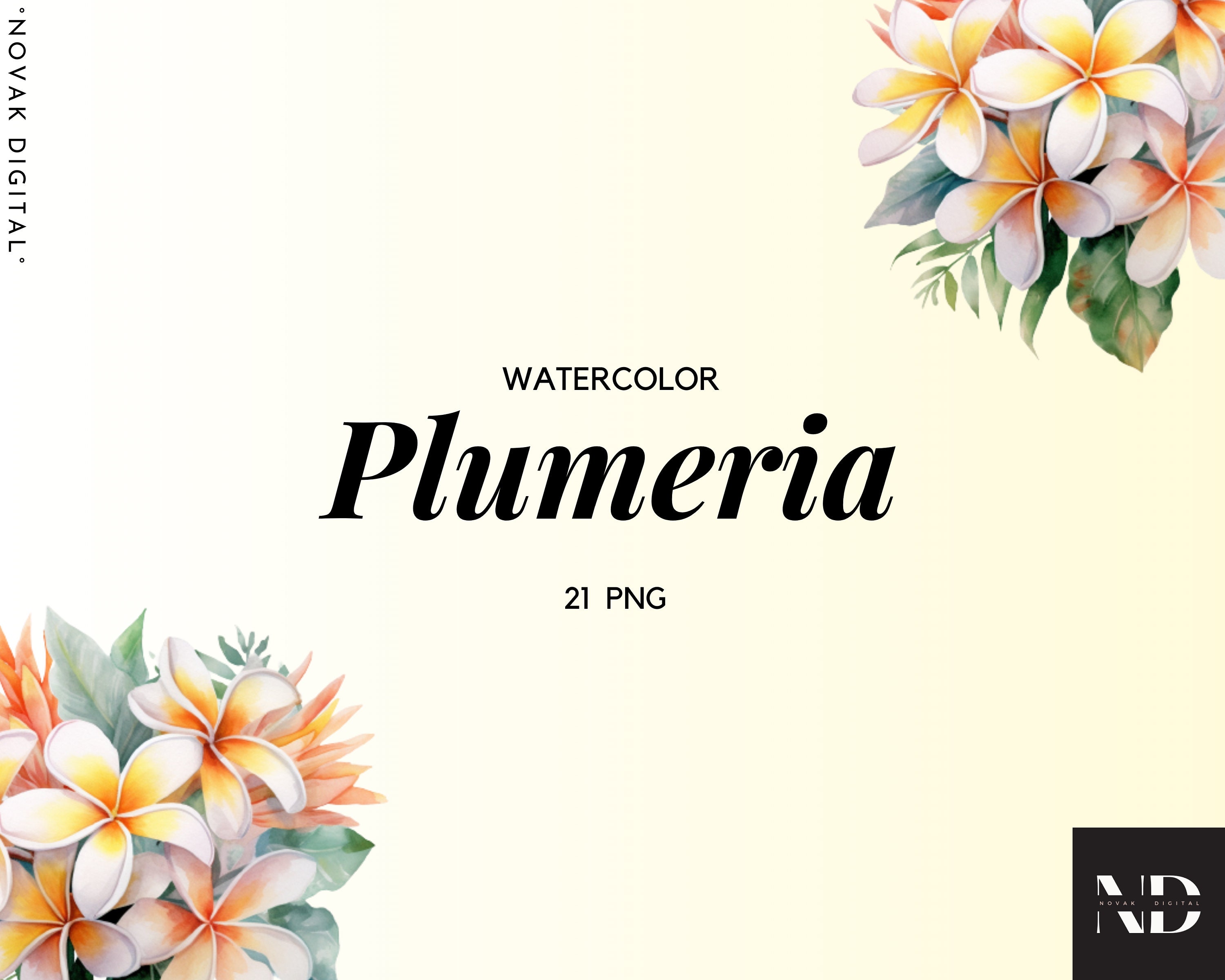 Plumeria Border Clip Art