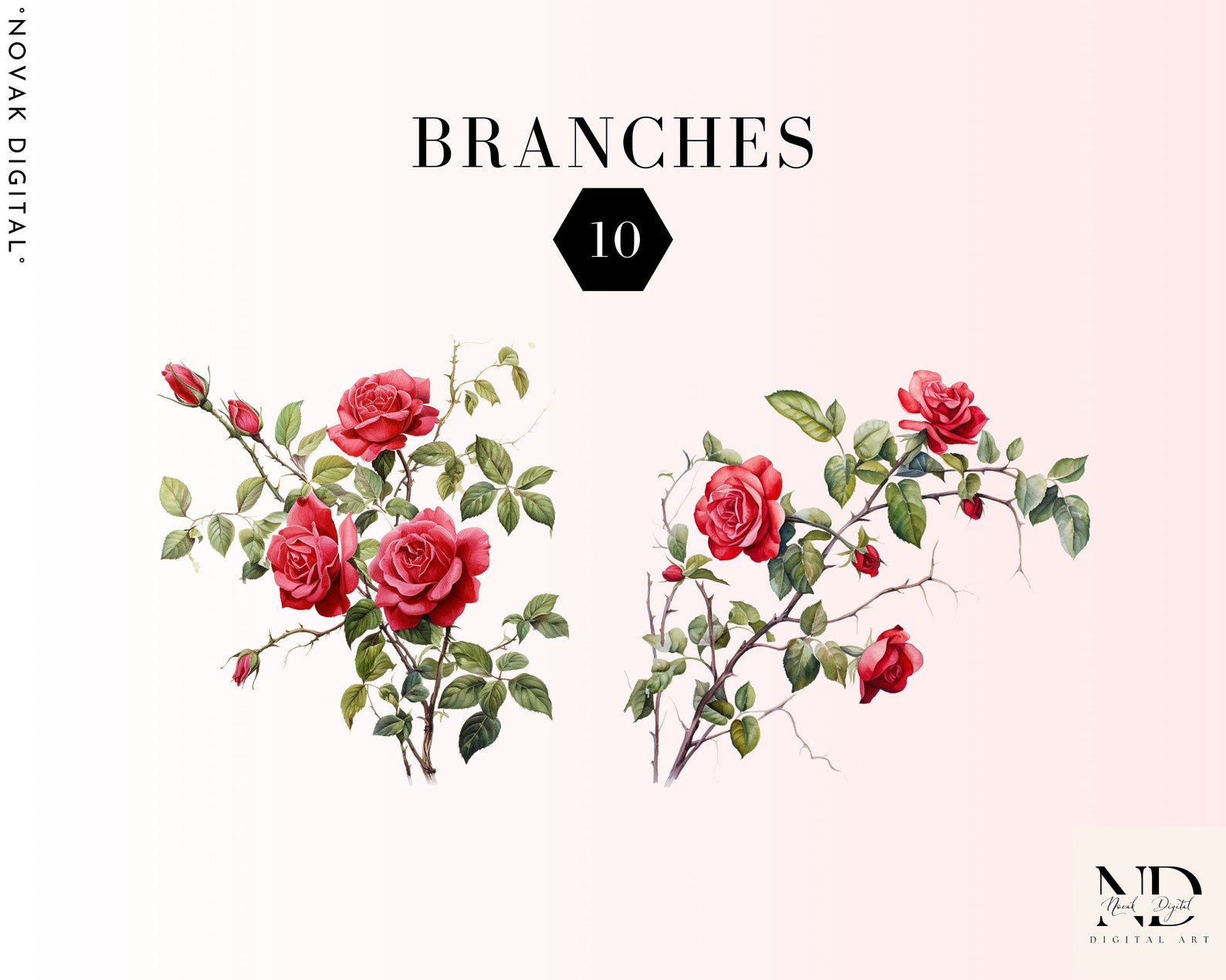 Watercolor Roses Clipart PNG Set of 55, Red Roses Flowers, Red Roses ...