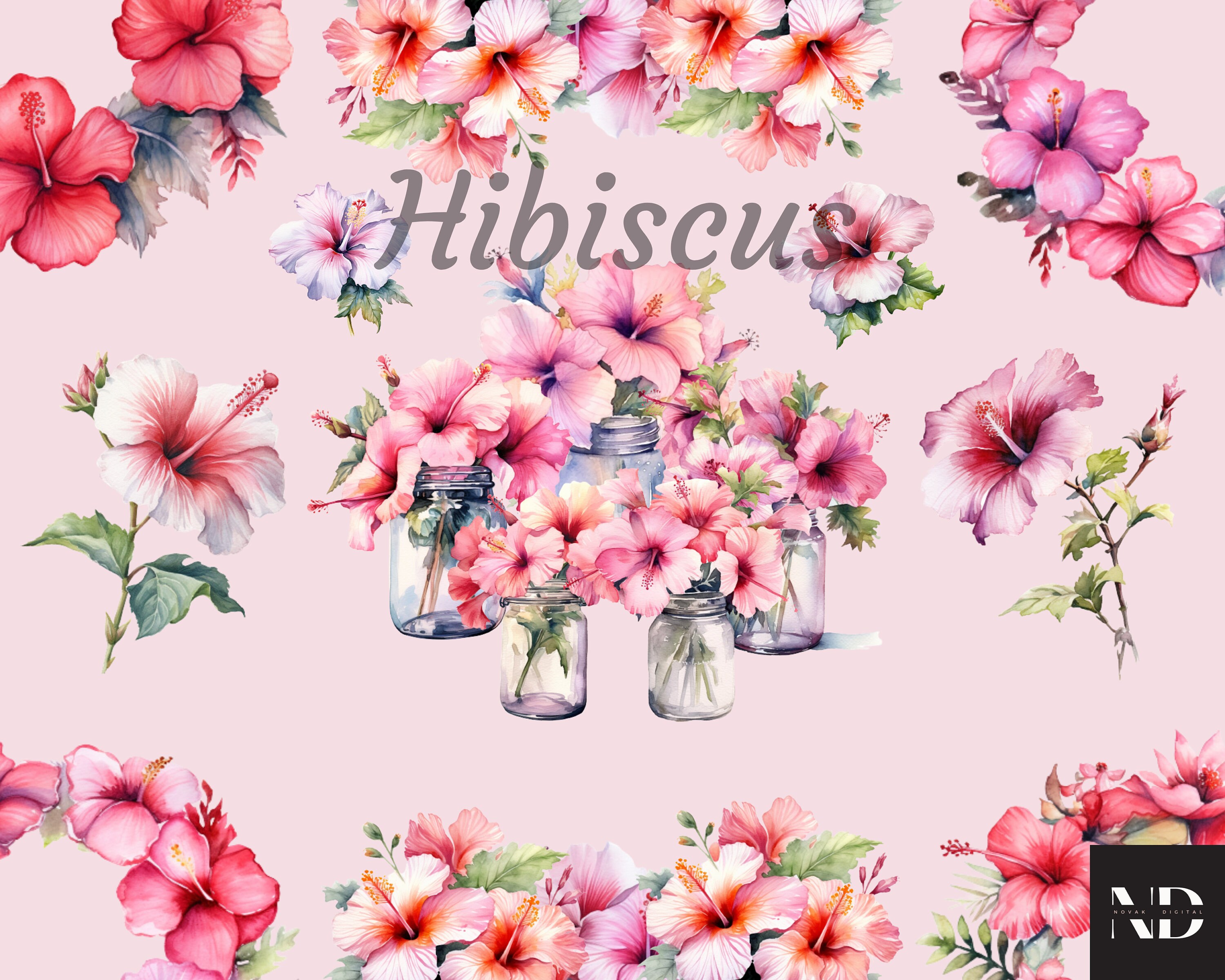 Watercolor Tropical Floral Clipart PNG Graphic Bundle Flowers - Etsy