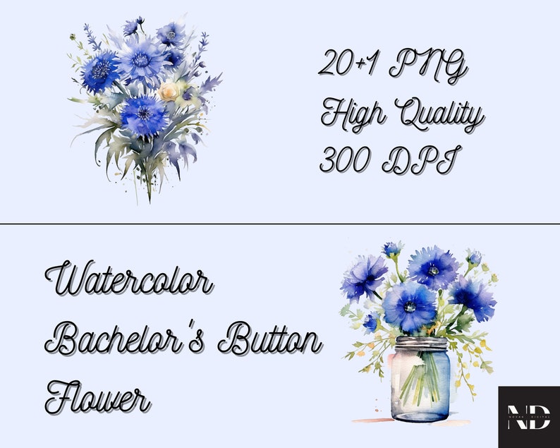 Watercolor Bachelor's Button Clipart PNG Set of 21 Blue - Etsy