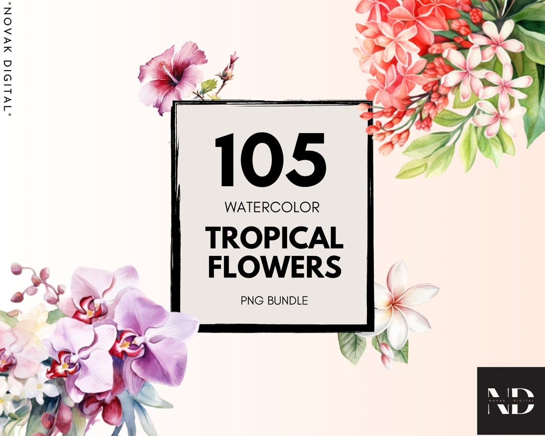 Watercolor Tropical Floral Clipart PNG Graphic Bundle, Flowers Bouquet ...