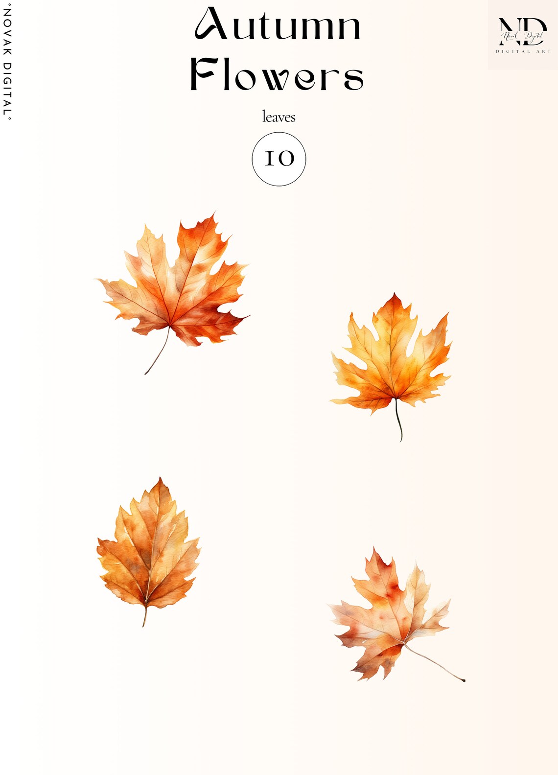 Watercolor Fall Flowers Clipart – Autumn Decor, 75 PNG Elements ...