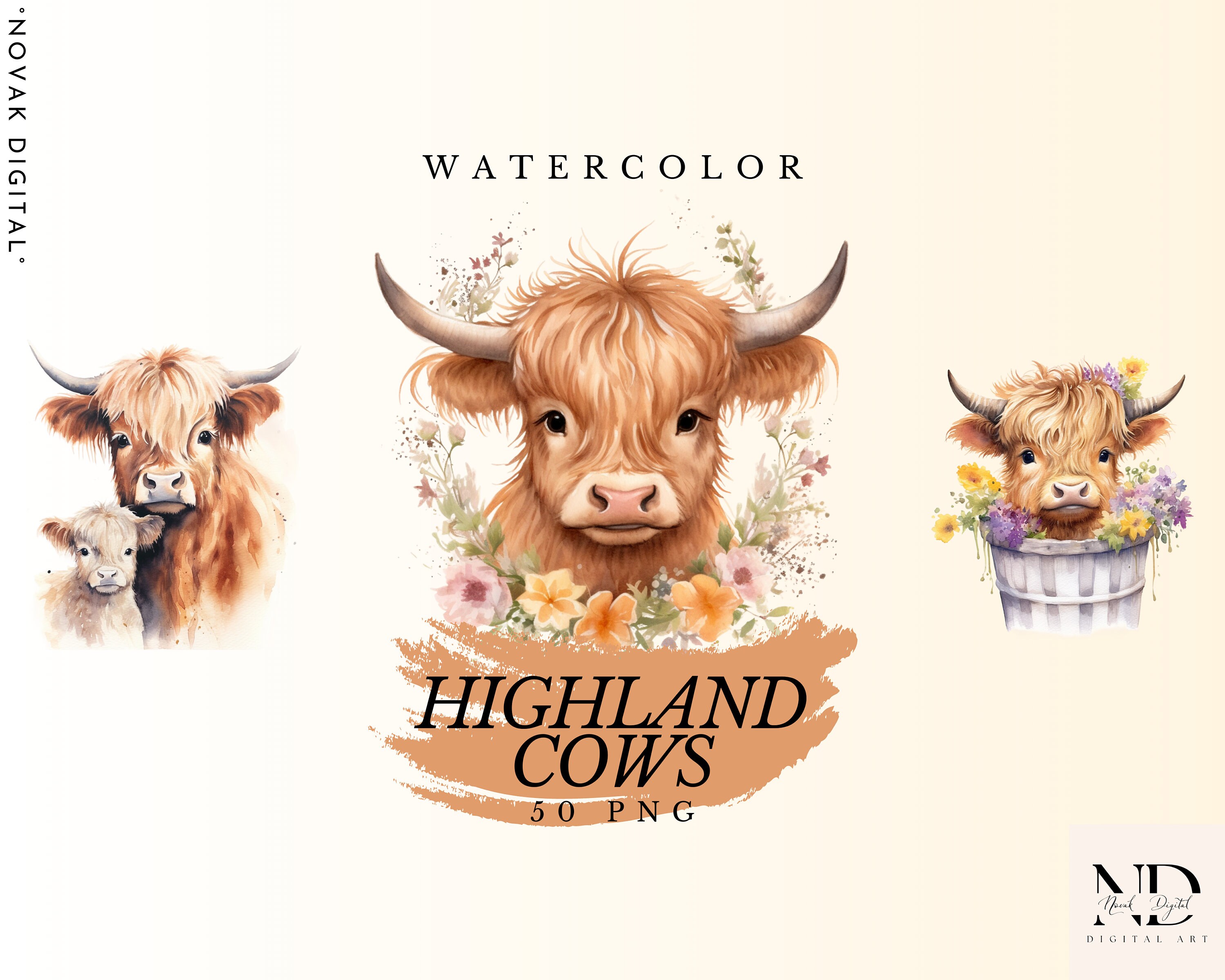 Watercolor Highland Cow Clipart PNG Baby Shower Decor Highland Cow ...