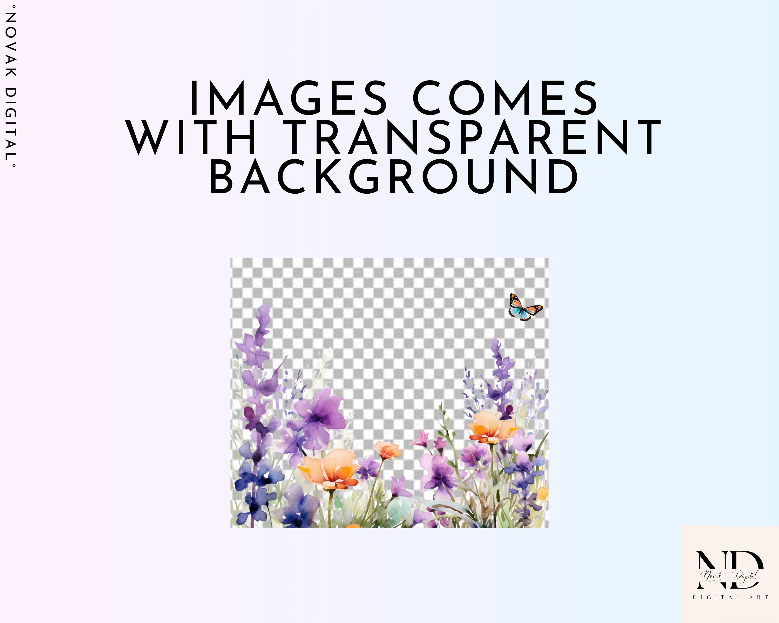 Watercolor Floral Blue & Purple Borders Clipart 42 PNG Watercolor ...