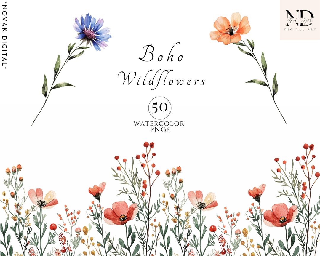 Boho Wildflower Watercolor Clipart – 50 PNG Floral Illustrations ...