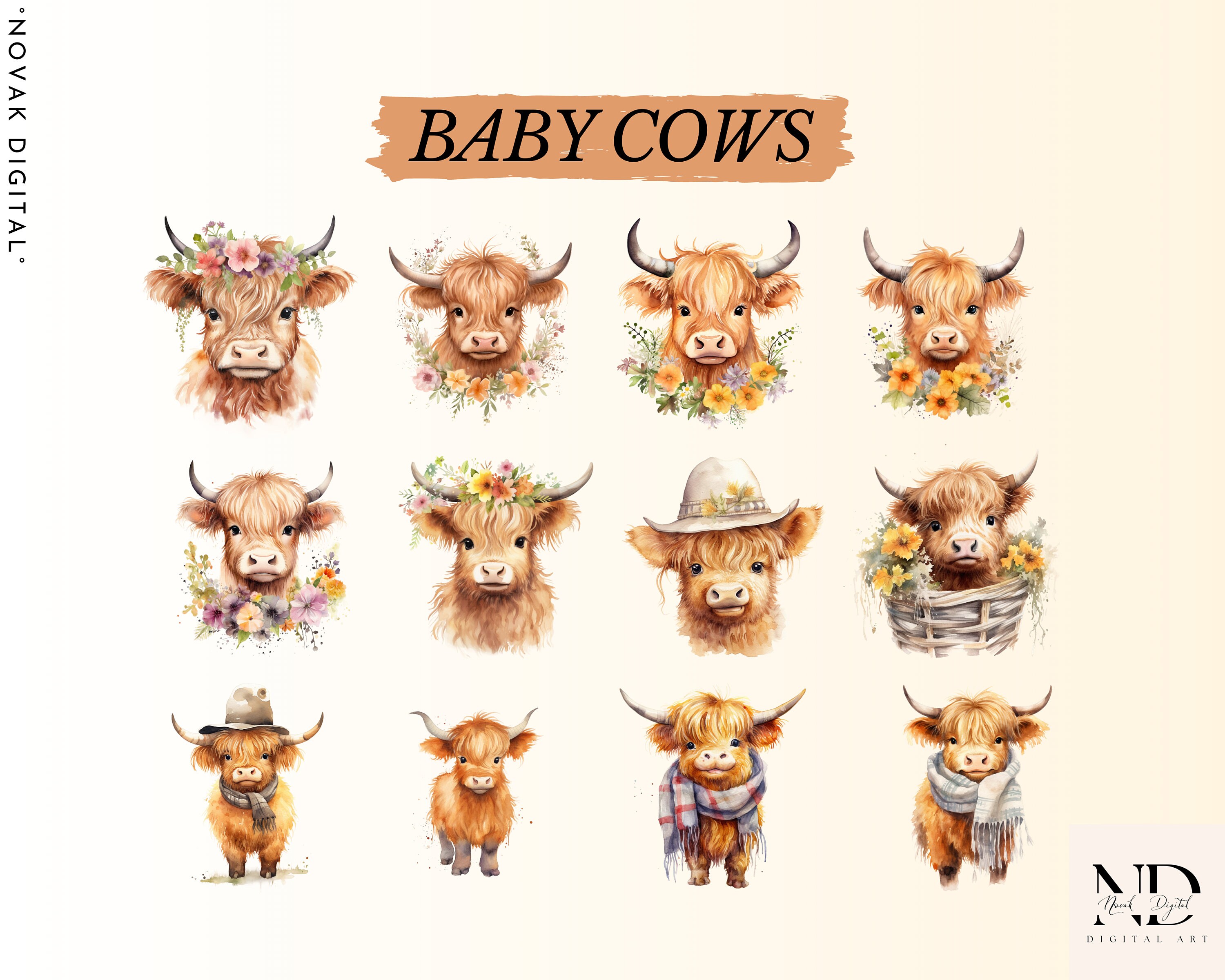 Watercolor Highland Cow Clipart PNG Baby Shower Decor Highland Cow ...