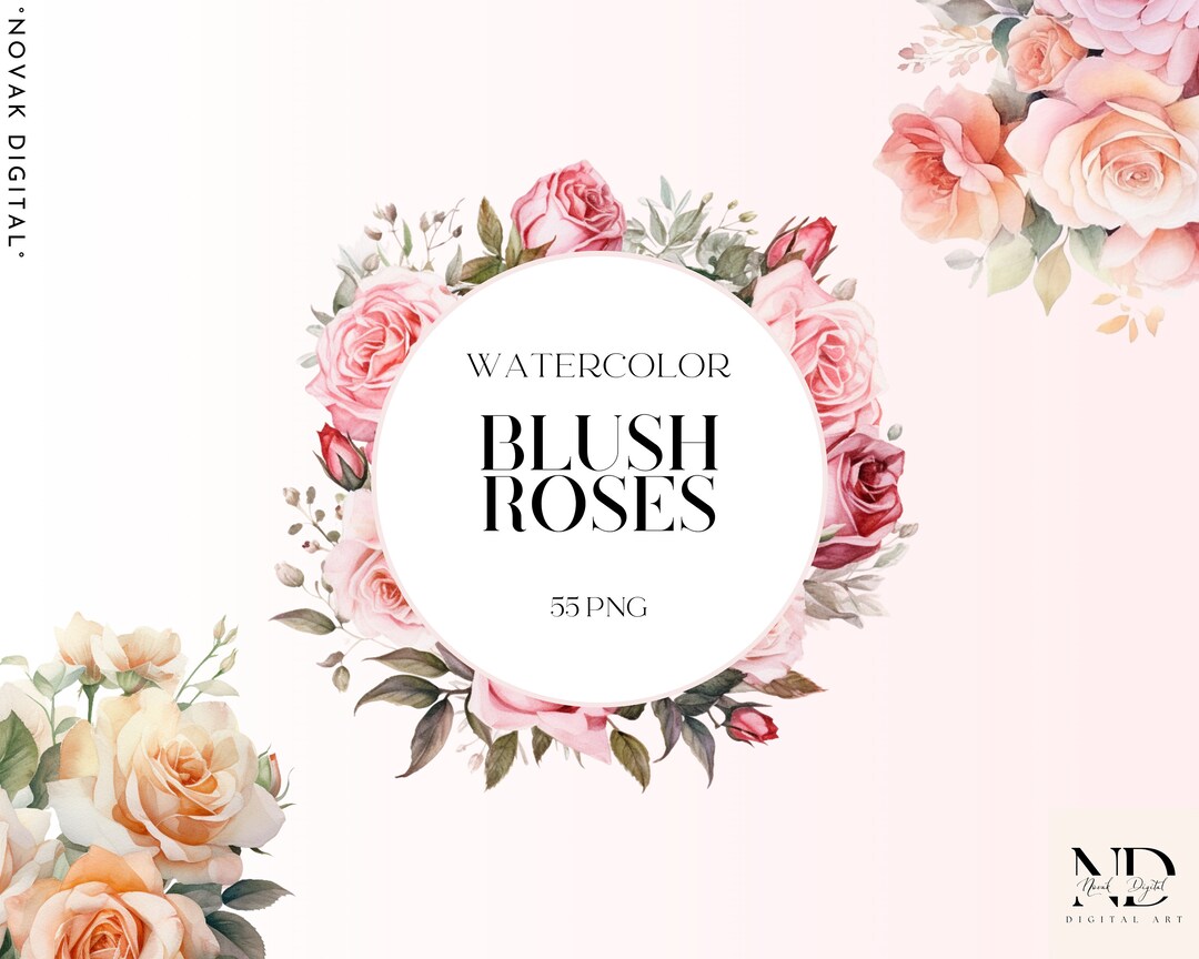 Watercolor Blush Roses Clipart PNG Set of 55, Pink Flowers, Roses ...