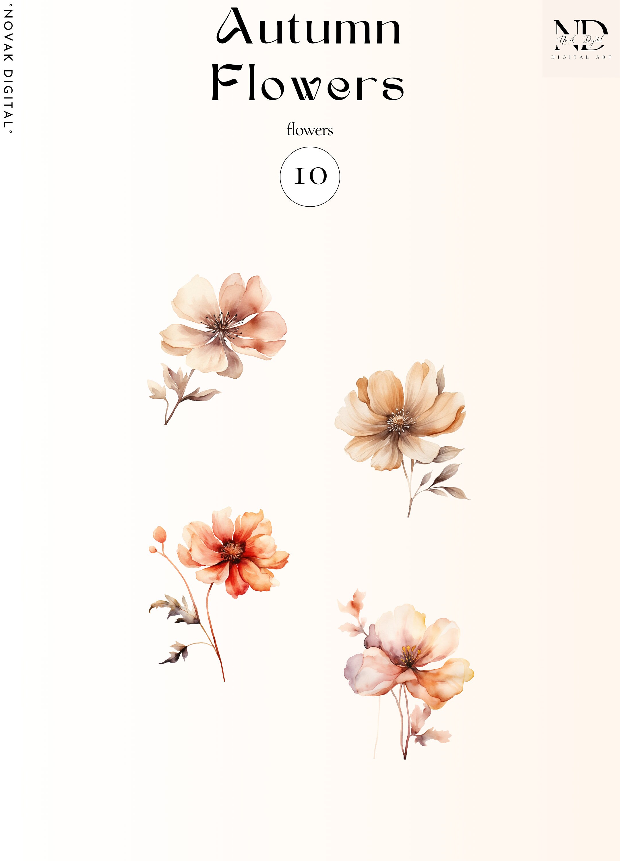 Watercolor Fall Flowers Clipart – Autumn Decor, 75 PNG Elements ...