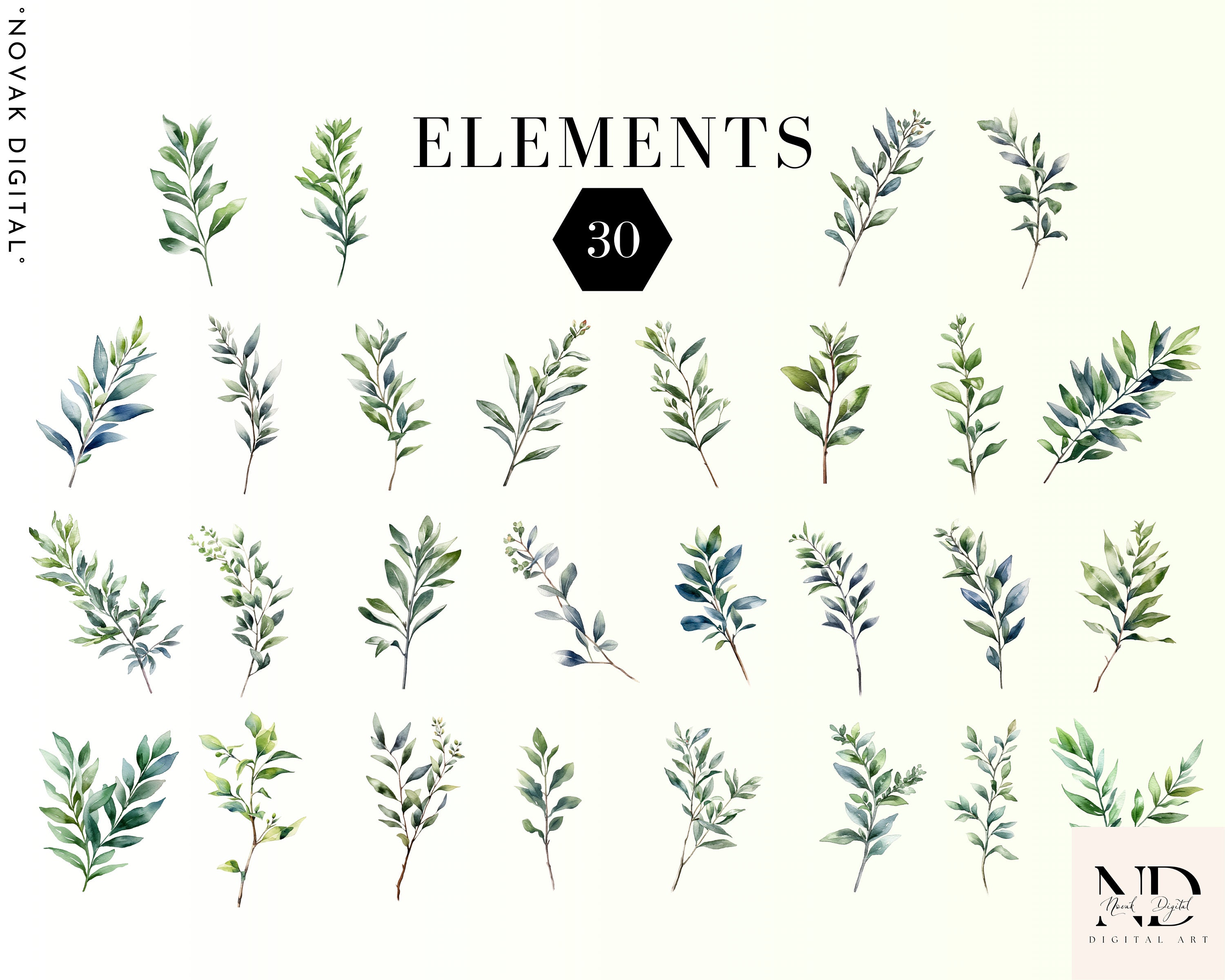 Watercolor Greenery Clipart PNG Bundle of 50, Green Leaves Branches PNG ...