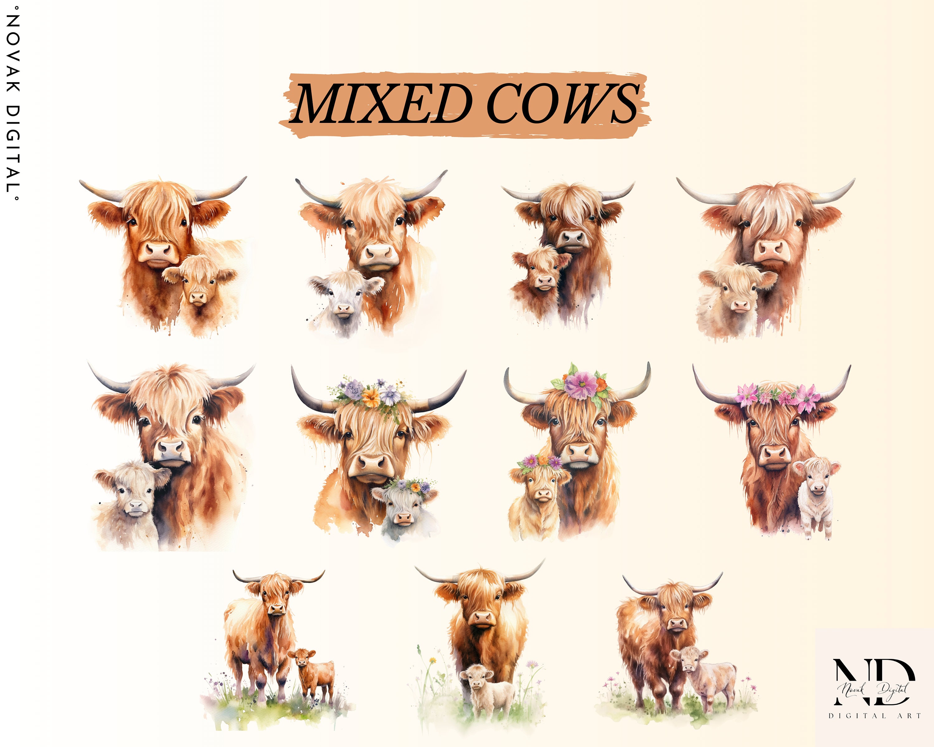 Watercolor Highland Cow Clipart PNG Baby Shower Decor Highland Cow ...