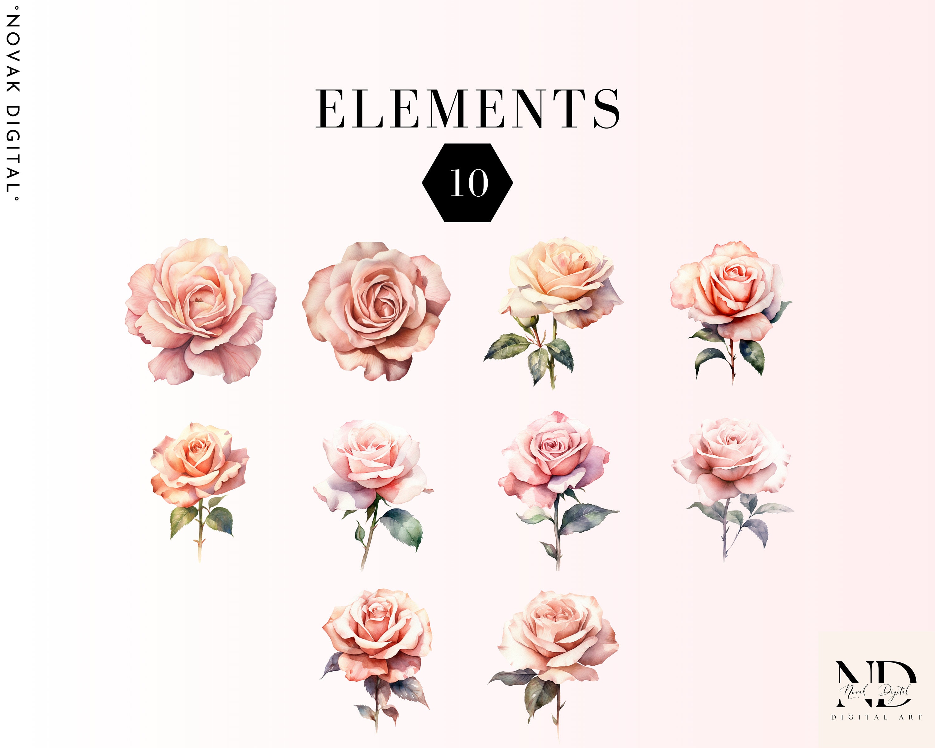 Watercolor Blush Roses Clipart PNG Set of 55, Pink Flowers, Roses ...