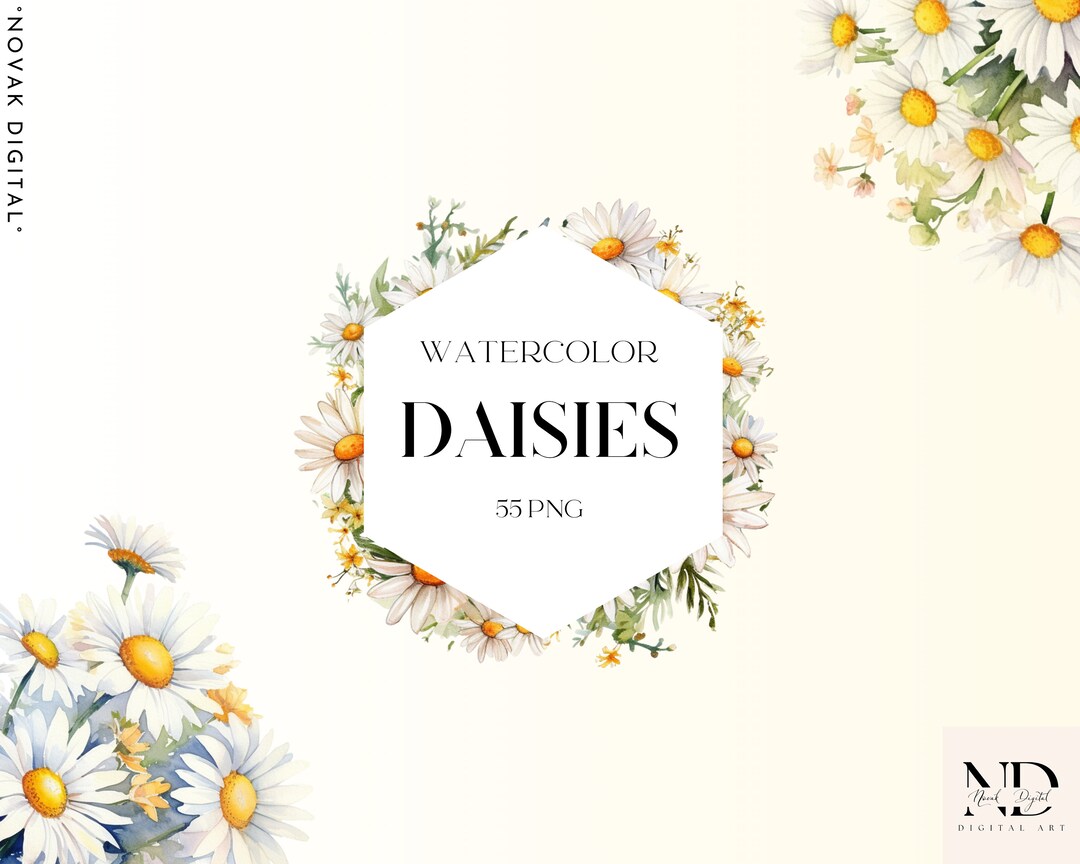 Watercolor Daisy Clipart Set, Floral Bouquet PNG (digital Download) - Etsy