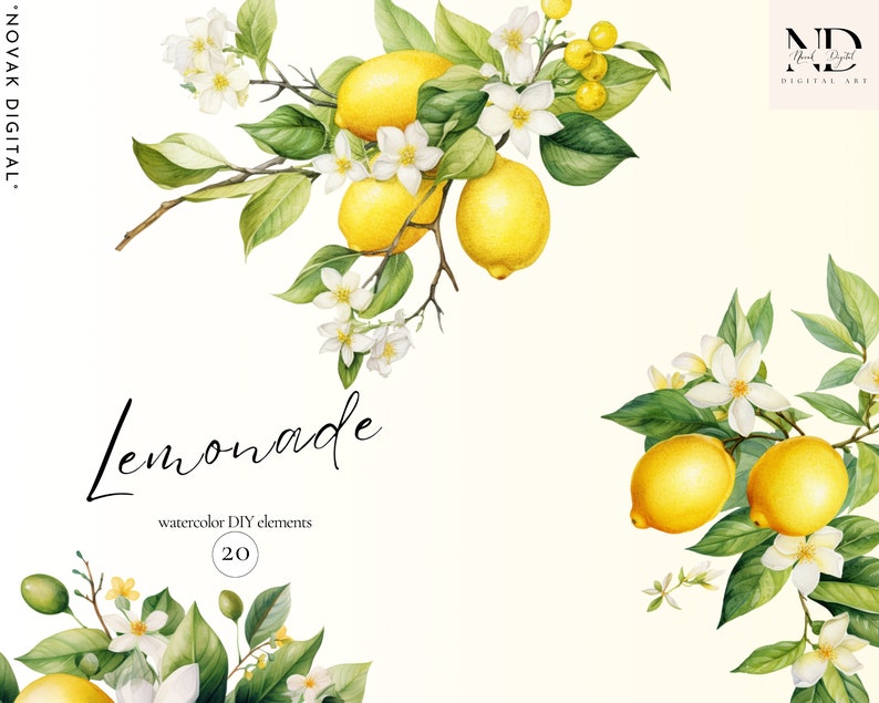 Watercolor Lemon Clipart PNG Set of 20 , Lemon Flowers Bouquet PNG ...