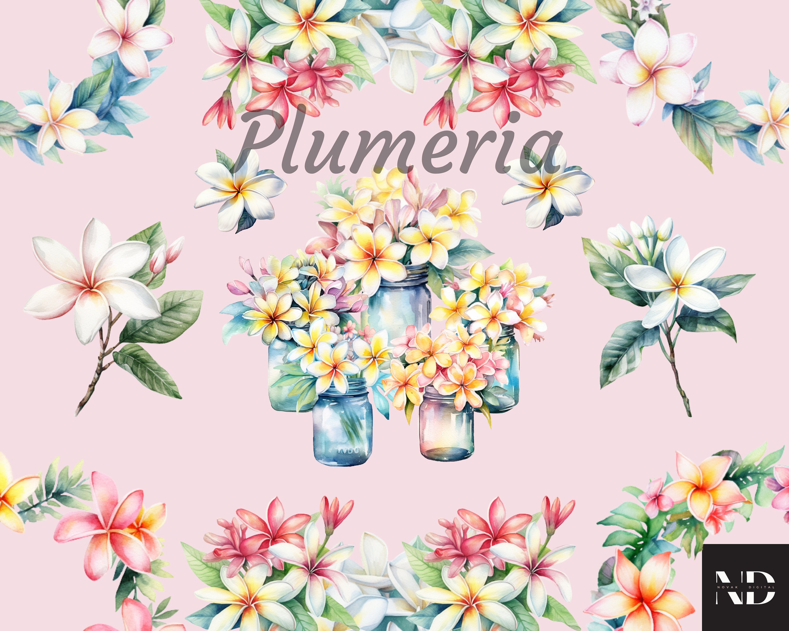 Watercolor Tropical Floral Clipart PNG Graphic Bundle Flowers - Etsy
