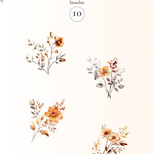 Watercolor Fall Flowers Clipart – Autumn Decor, 75 PNG Elements ...