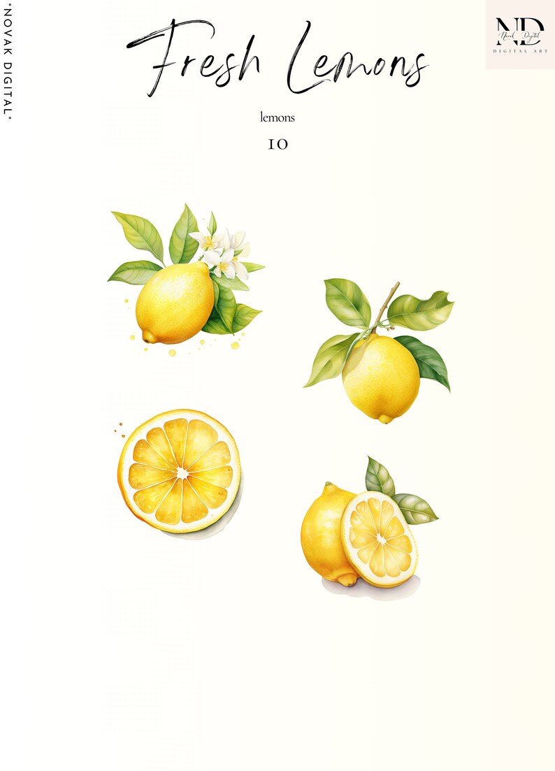 Watercolor Lemon Clipart PNG Set of 60 Lemon Flowers Bouquet - Etsy