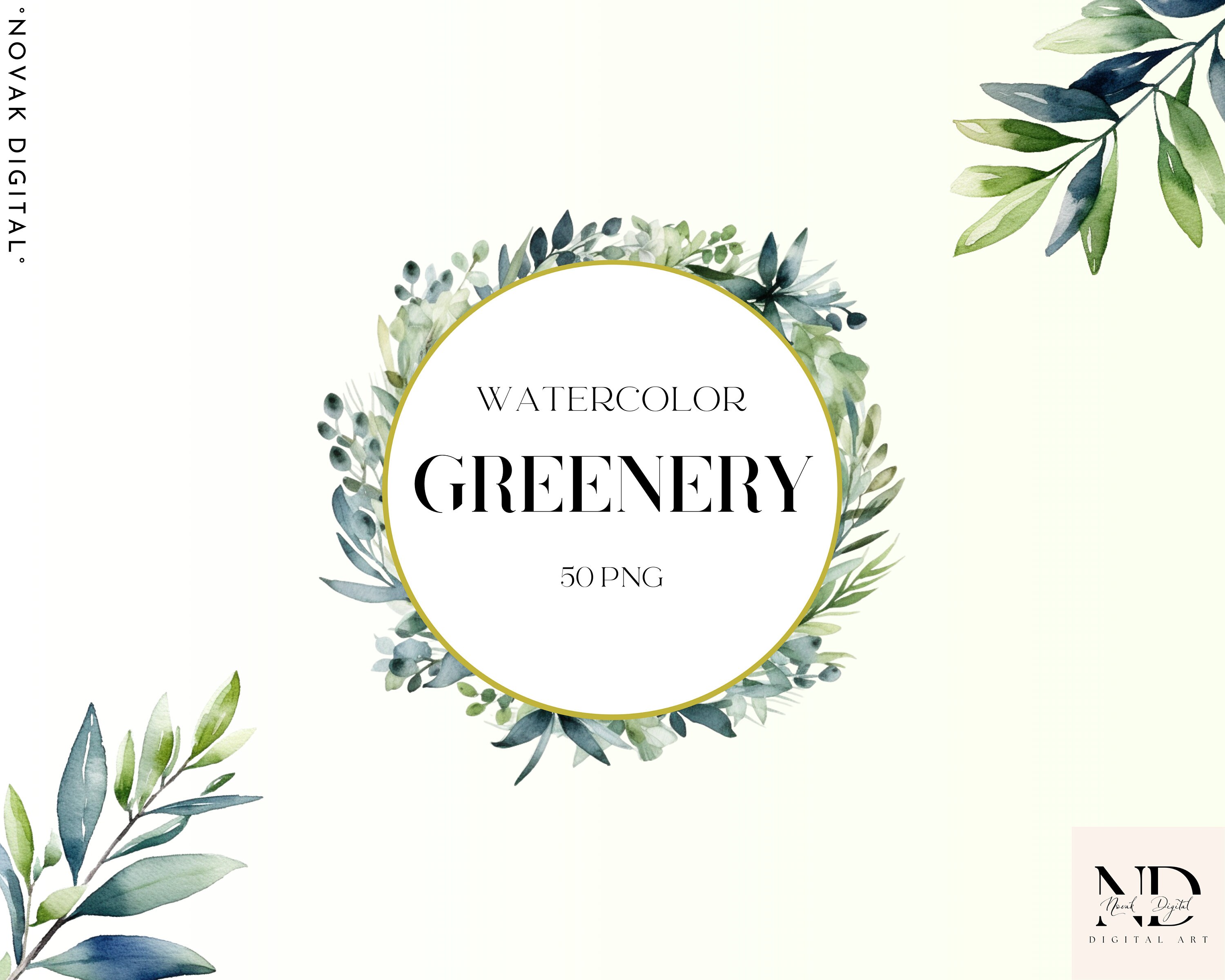 Watercolor Greenery Clipart PNG Bundle of 50, Green Leaves Branches PNG ...