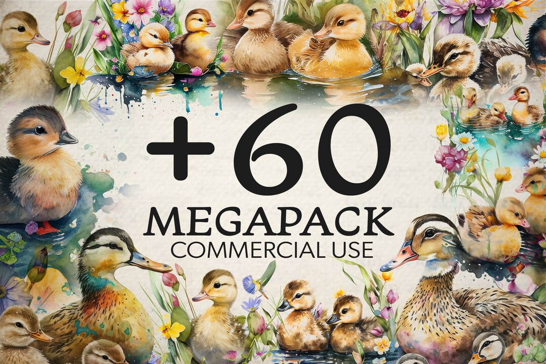 60 Ducklings Clipart Mega Pack, Watercolor Printable Art Prints ...