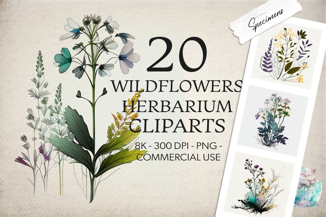Watercolor Herbarium Wildflowers Plants Floral Bouquet Bundle Crafting ...