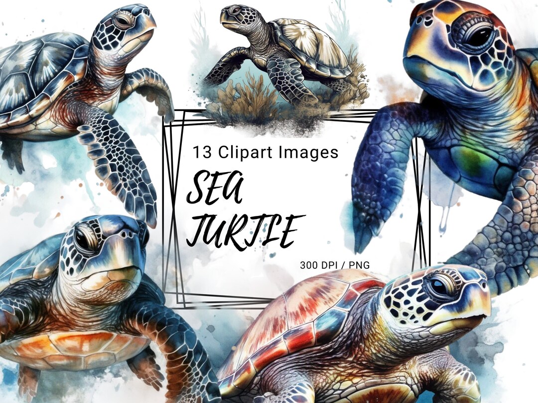 Clipart PNG Files, Sea Turtles, 13 Motifs for Digital Download - Etsy