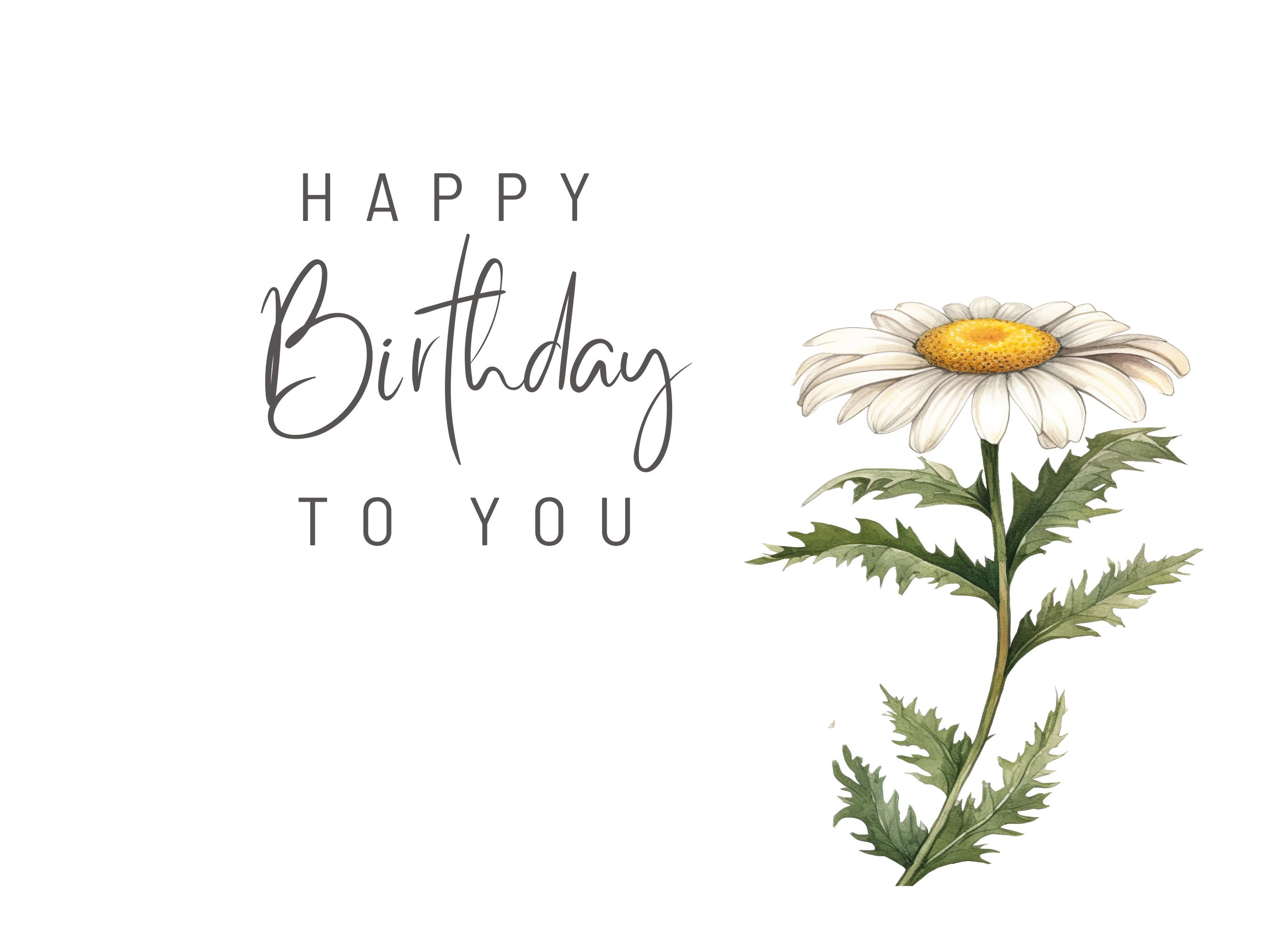 30 Daisies Clipart, Daisy Flowers PNG, Watercolor Floral Clipart ...