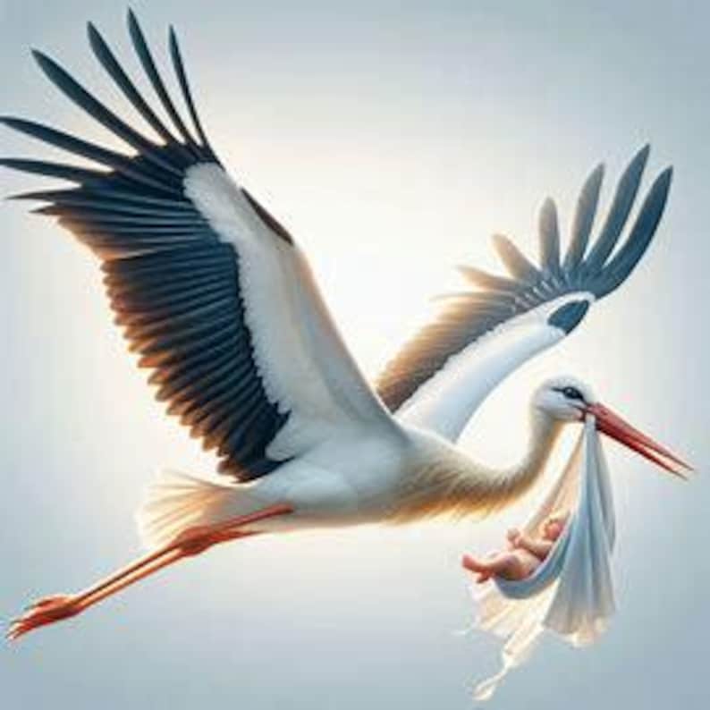 Stork, Baby, Child, Stork Brings Baby, Stork Carries Baby, Birth ...