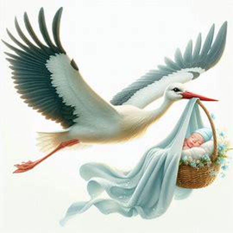 Stork, Baby, Child, Stork Brings Baby, Stork Carries Baby, Childbirth ...