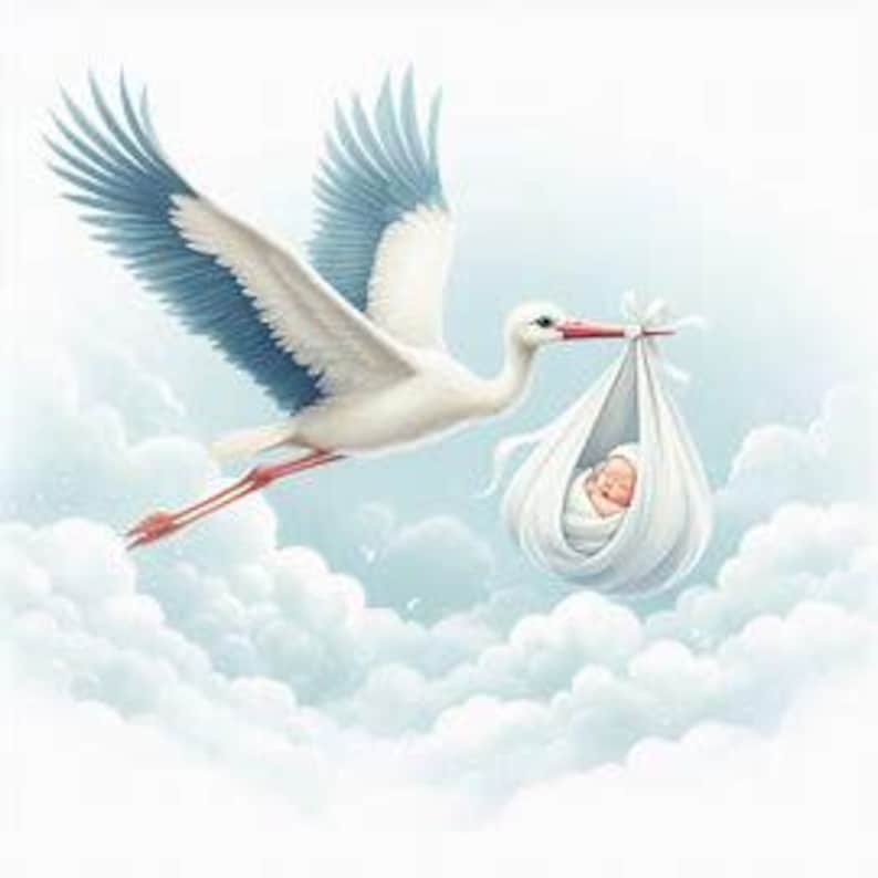 Stork, Baby, Child, Stork Brings Baby, Stork Carries Baby, Childbirth ...