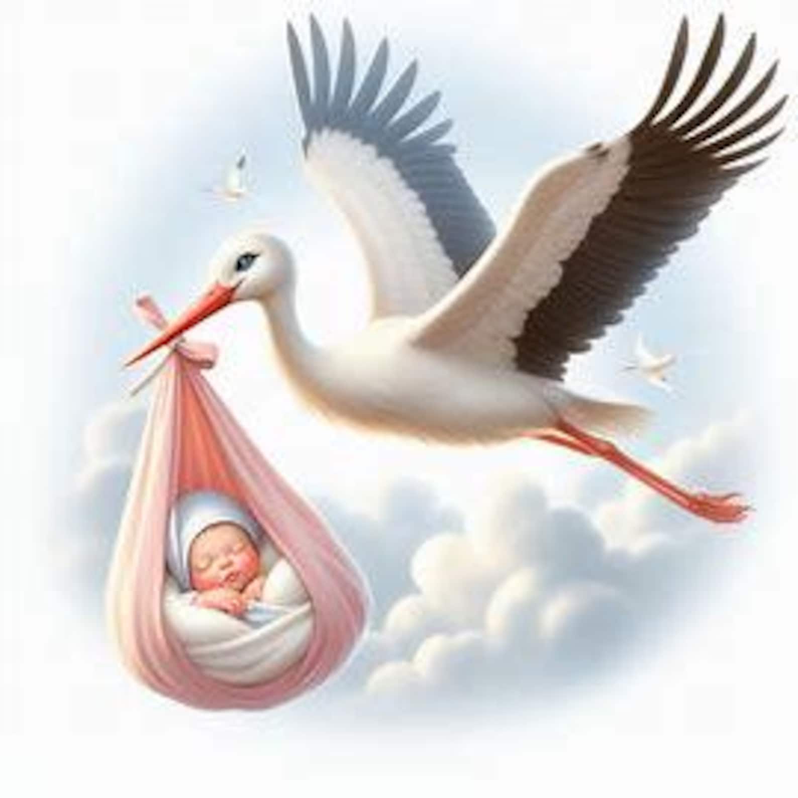 Stork, Baby, Child, Stork Brings Baby, Stork Carries Baby, Birth ...